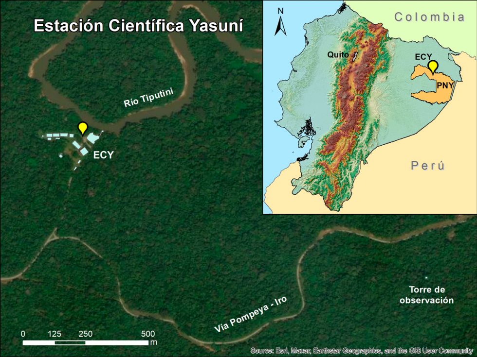 Ubicación | Estación Científica Yasuní